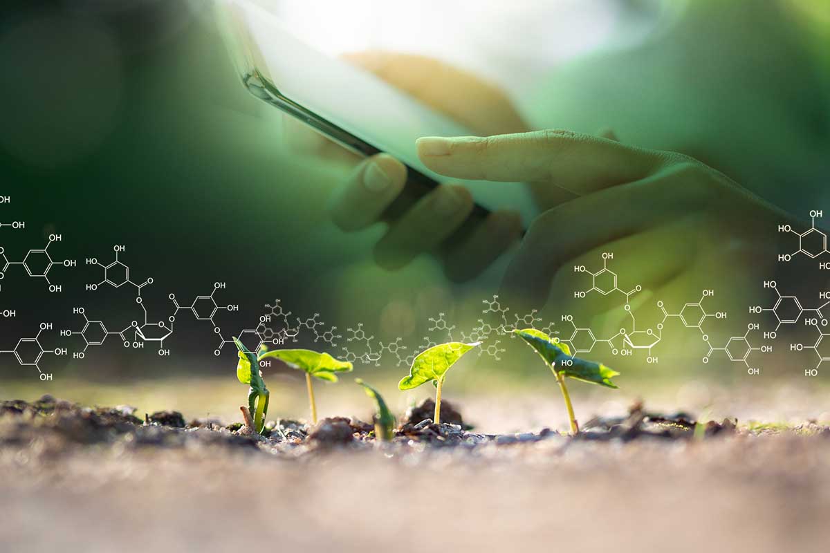 The Art and Science of Farming: Exploring the Agriculture World - FarmFlow